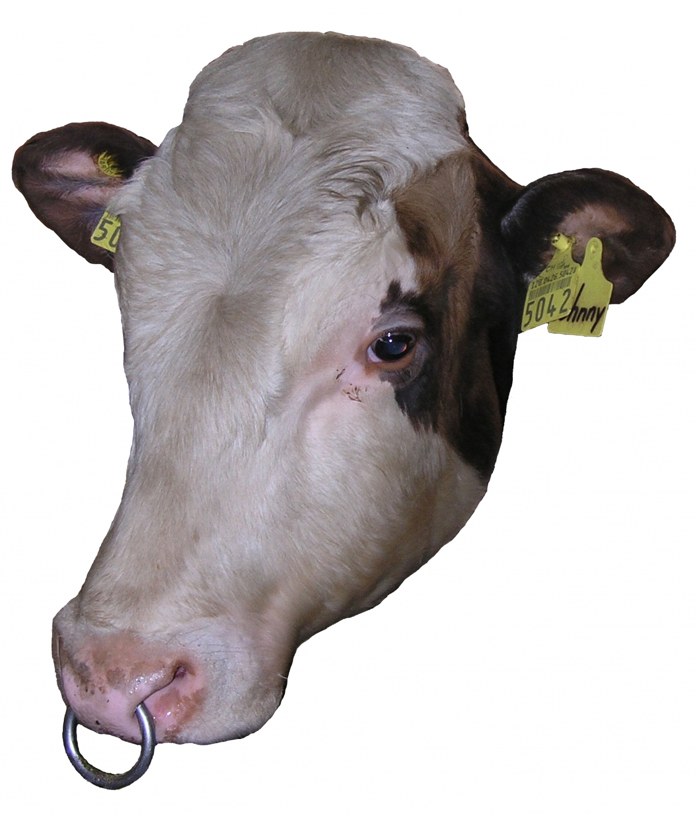 Berclaz de Sierre | Culture Valais, Agenda culturel, Événements ...