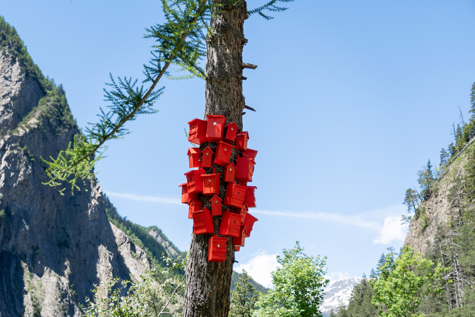 Ausstellungen unter freiem Himmel im Wallis | Kultur Wallis
